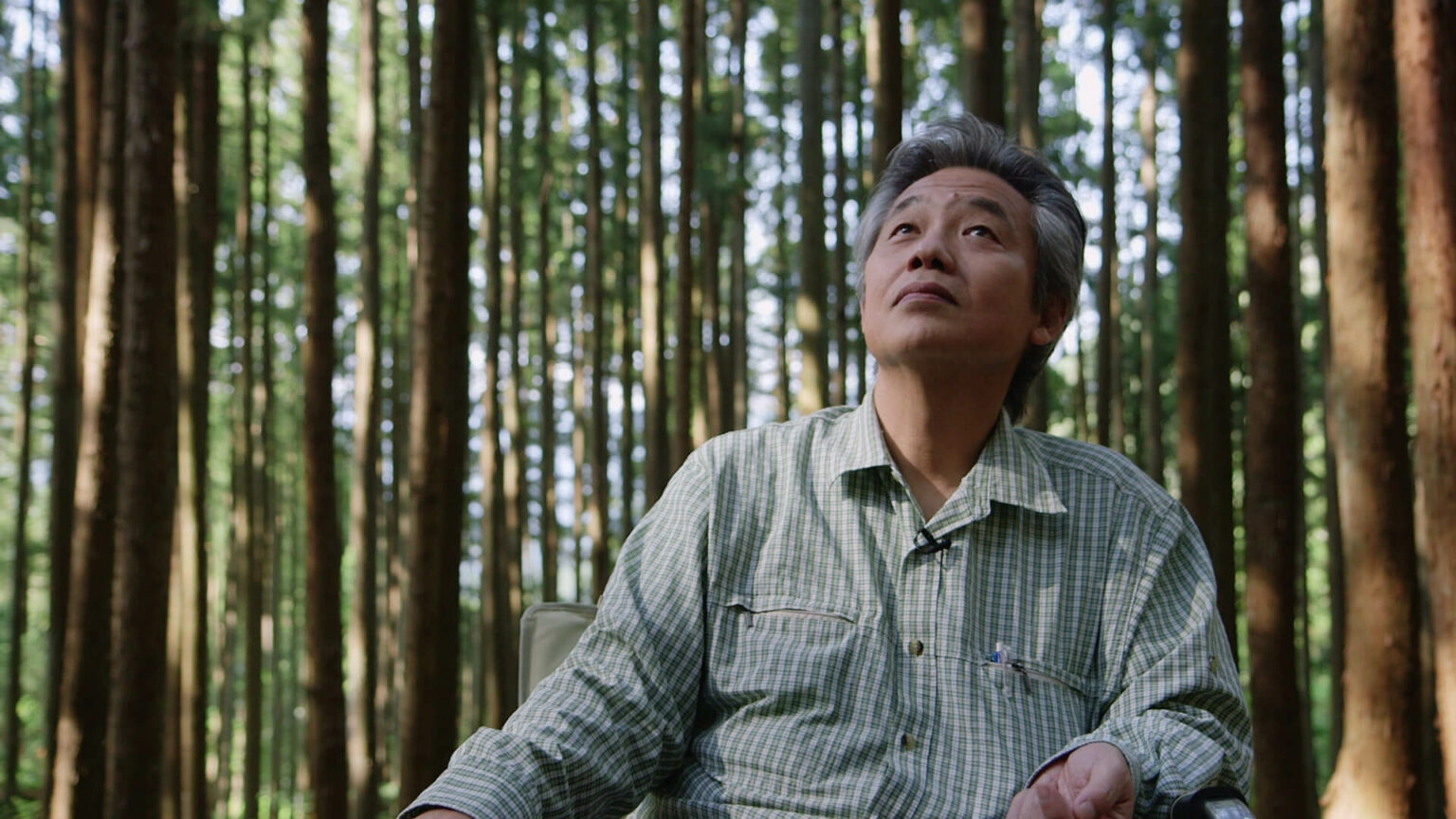 Miyazaki Yoshifumi – Sylvalesens